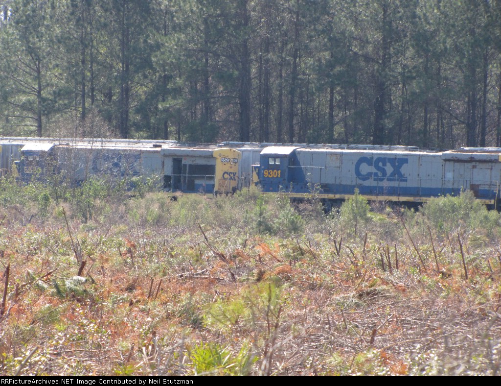 CSX 5523